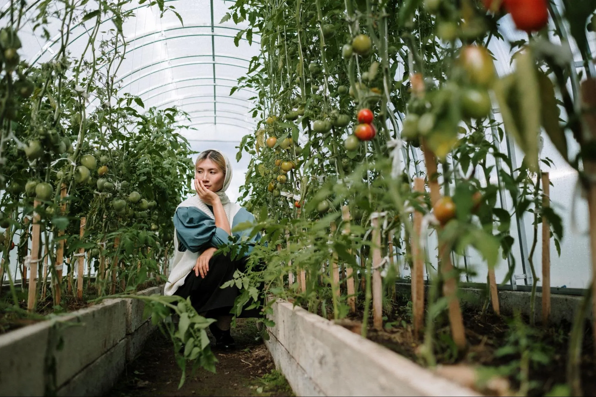 What is the Easiest, Best Thing to Grow in a Garden? - Brett Farmiloe